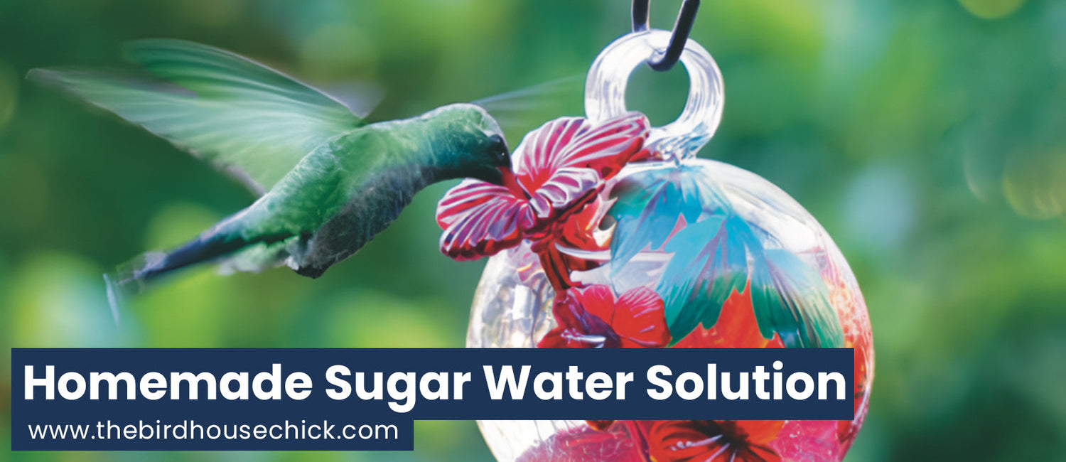 Hummingbird Nectar Recipe | Easiest Nectar Recipe – The Birdhouse Chick