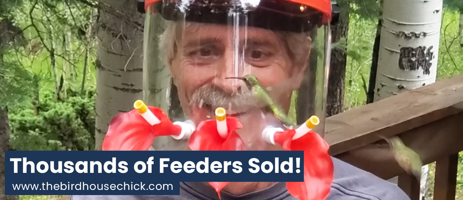 Super Fun Hummingbird Feeder | Shark Tank Hummviewer – The Birdhouse Chick