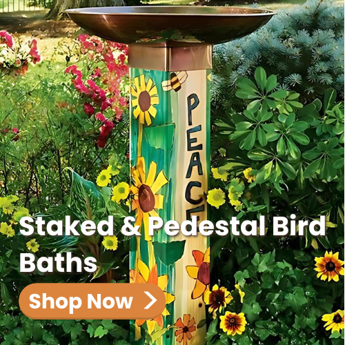 Unique & Unusual Bird Baths for Sale | The Birdhouse Chick