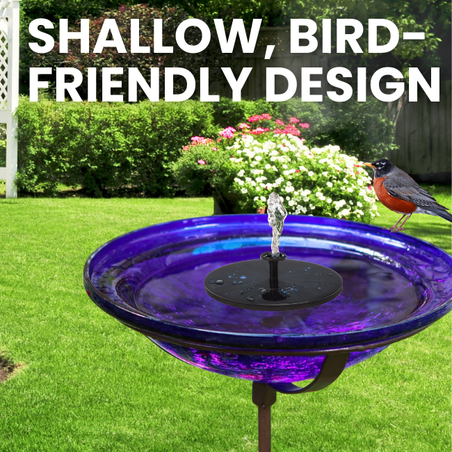 Solar Birdbaths | Fun in the Sun | The Birdhouse Chick