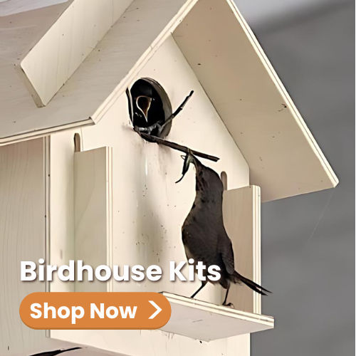 Unique & Handmade Birdhouses | The Birdhouse Chick