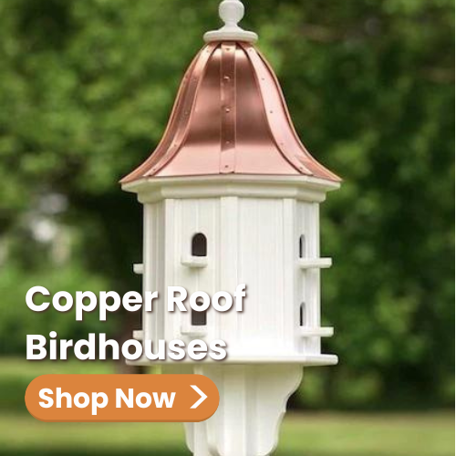Unique & Handmade Birdhouses | The Birdhouse Chick