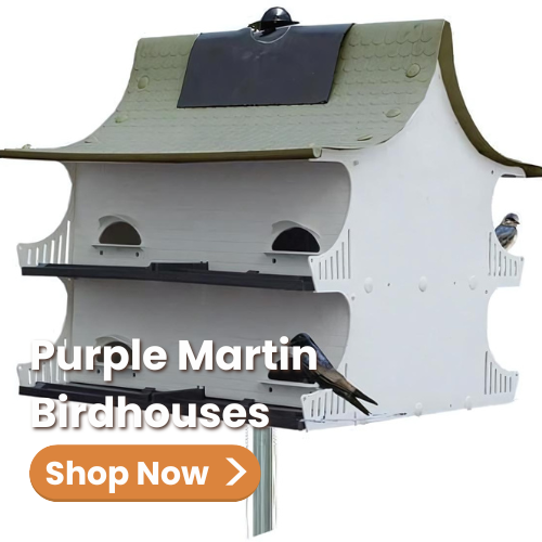 Unique & Handmade Birdhouses | The Birdhouse Chick