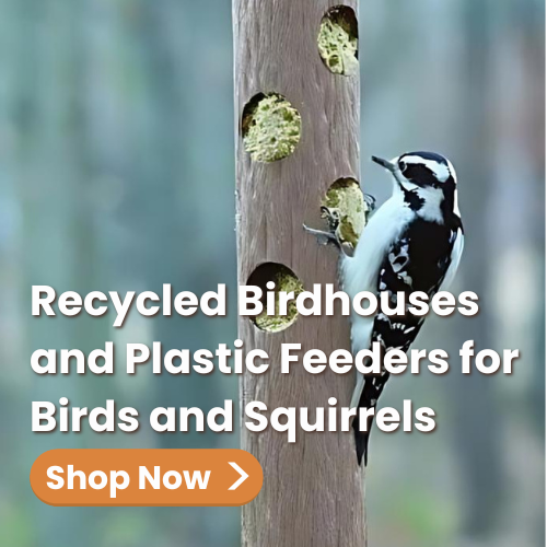 Unique & Handmade Birdhouses | The Birdhouse Chick