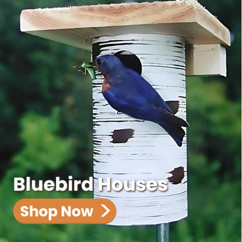 Unique & Handmade Birdhouses | The Birdhouse Chick
