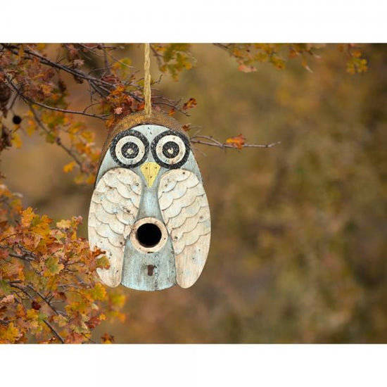 Distressed Owl Birdhouse | Whimsical Bird Houses | Fun Owl Birdhouses