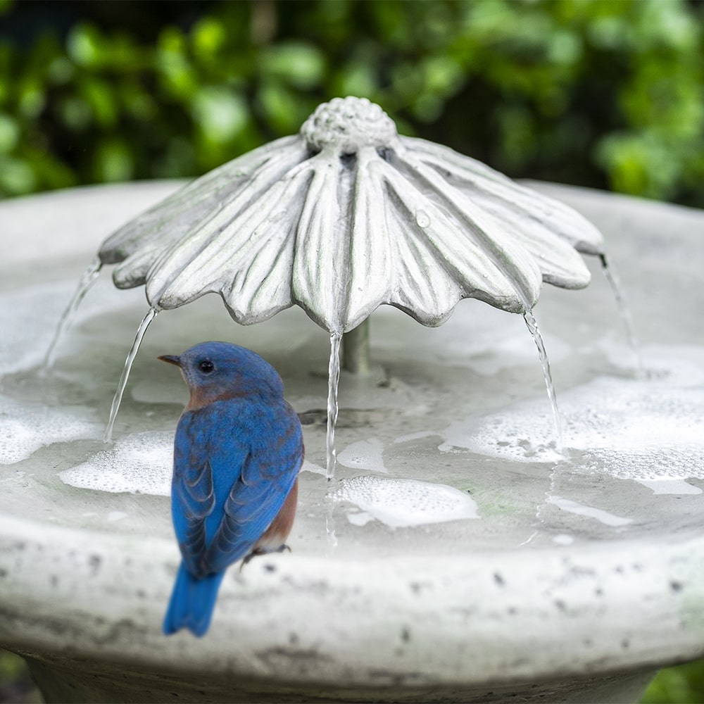 Bird Bath Fountains, Moving Water, Drippers | The Birdhouse Chick