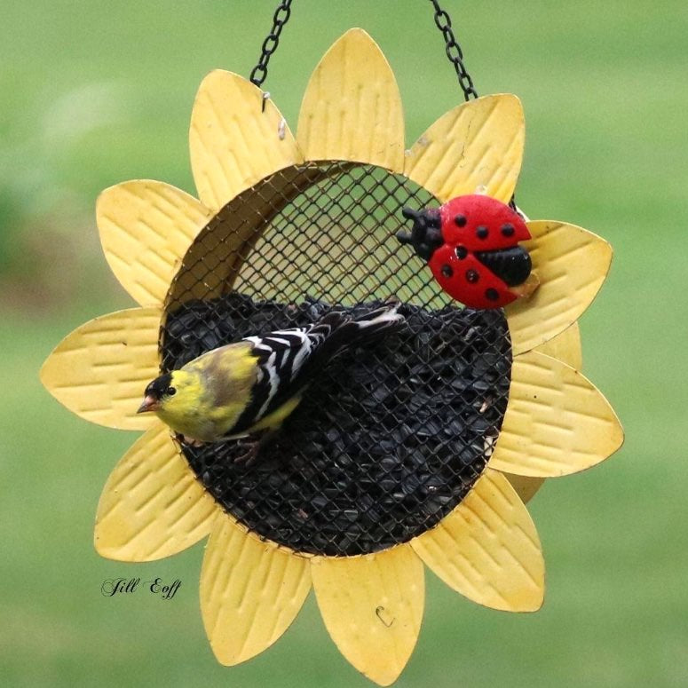 Multi-Use Sunflower Ladybug Mesh Bird Feeder | Fun Bird Feeders - The ...