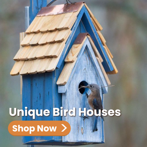 Unique & Handmade Birdhouses | The Birdhouse Chick