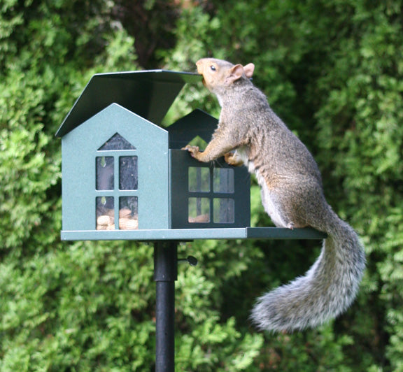 Durable Metal Squirrel Feeder