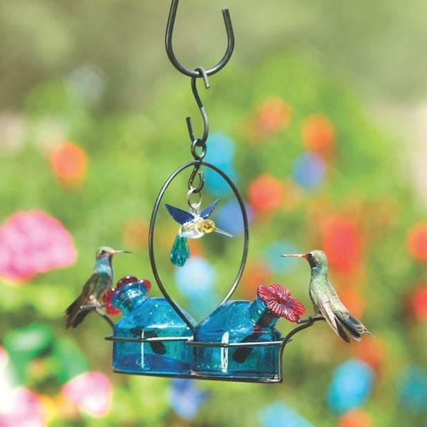 Unique Hummingbird Feeders | The Birdhouse Chick