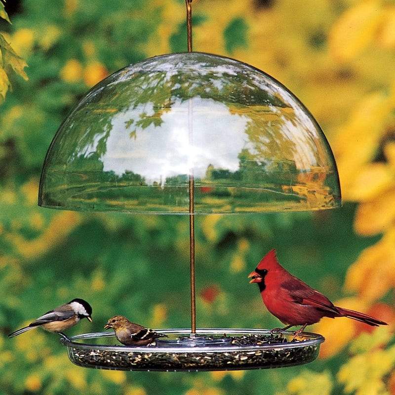 Cardinal Bird Feeders