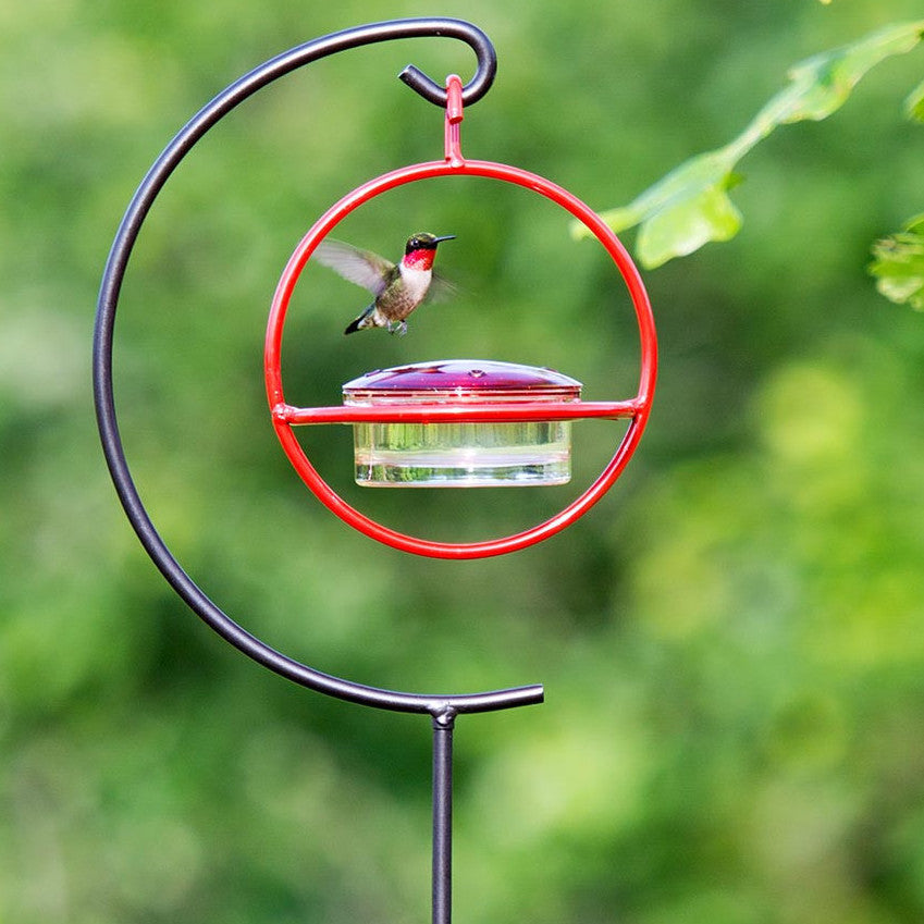 Hummingbird Feeders for Sale | Unique Hummingbird Homes