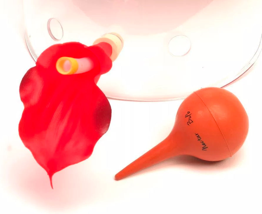 HummViewer Ultimate Feeder Mask | Unique Hummingbird Feeder - The ...