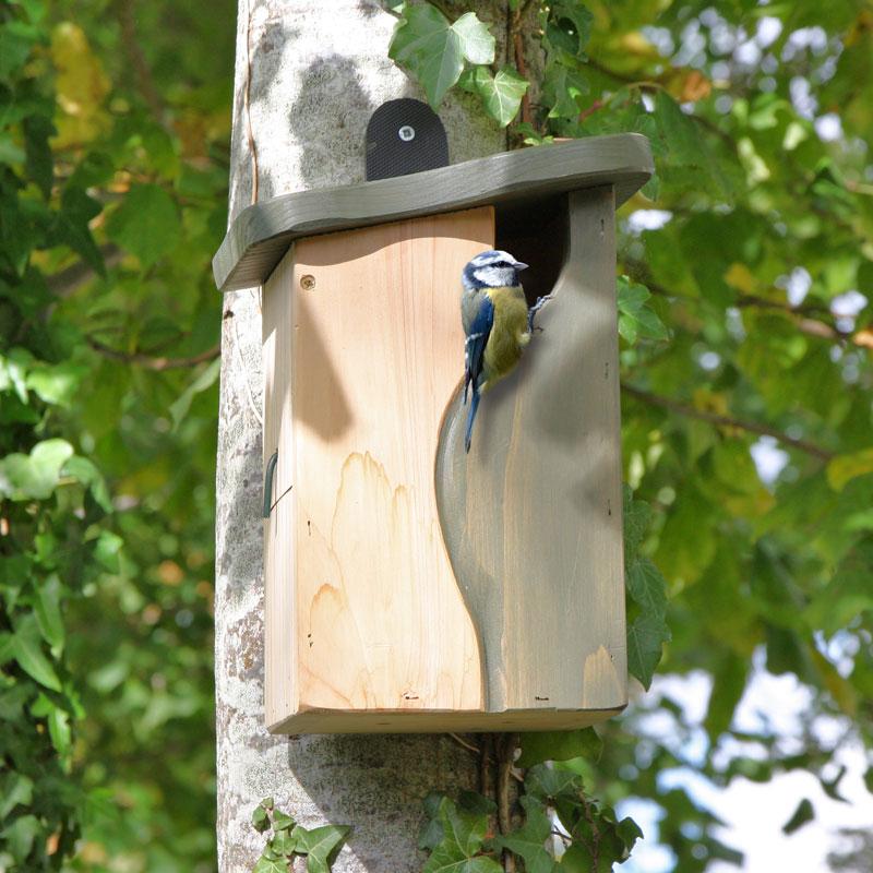 Unique Birdhouse | Curve Entry Wood Birdhouse | BirdHouse Gift