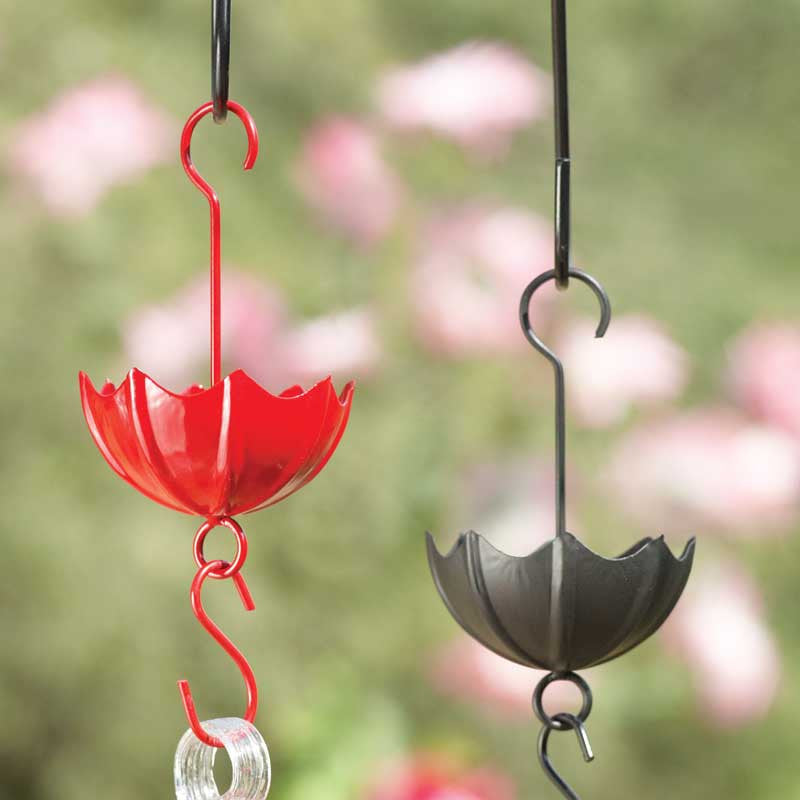 Ant Moats | Parasol Ant Moat | Hummingbird Feeder Guard - The Birdhouse ...