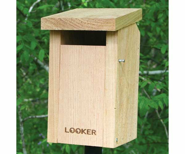 Bluebird Houses | Gilbertson Nest Box | PVC Blubird House – The ...
