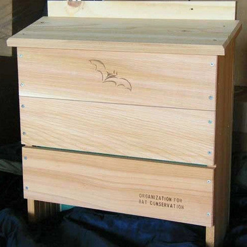 Bat Houses | Bat Shelters | Bats for Insect Control - The Birdhouse Chick