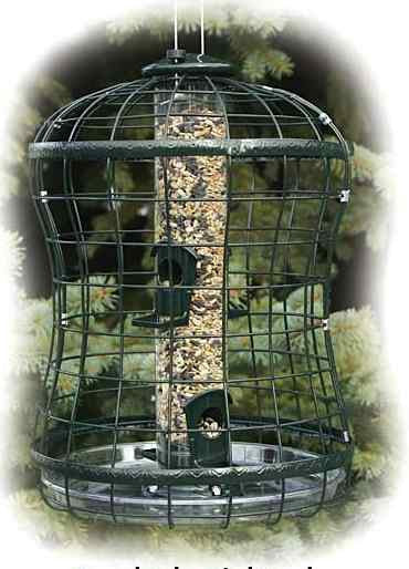 Caged Squirrel Proof Bird Feeder with Tray | Squirrel Resistant Feeders ...