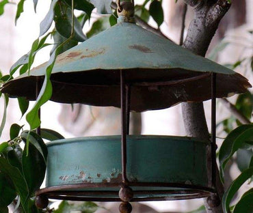 HummViewer Ultimate Feeder Mask | Unique Hummingbird Feeder – The ...