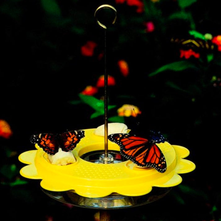 The Flutterby Butterfly Feeder