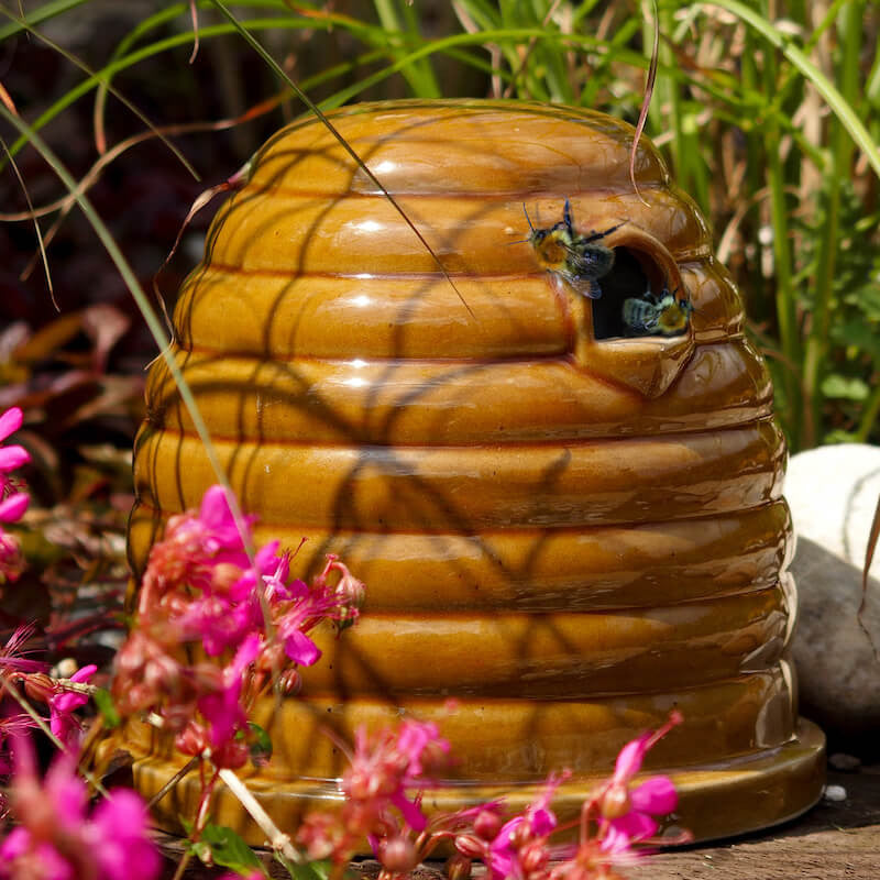 Bumble Bee Nest Box