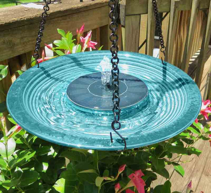 Solar Birdbaths | Fun in the Sun | The Birdhouse Chick