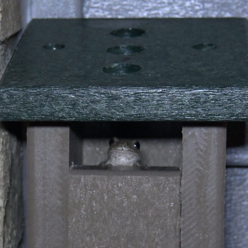 Toad Houses | Toad Shelter | Unique Frog and Toad House Gift - The ...